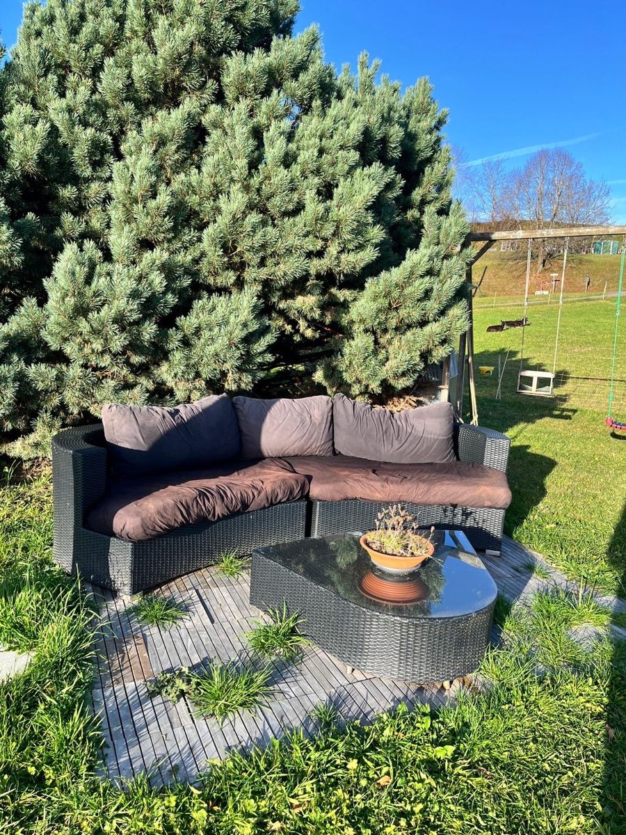 Denova Gartenlounge, inkl. Tisch (Gebraucht) in Wald ZH für CHF 150 ...