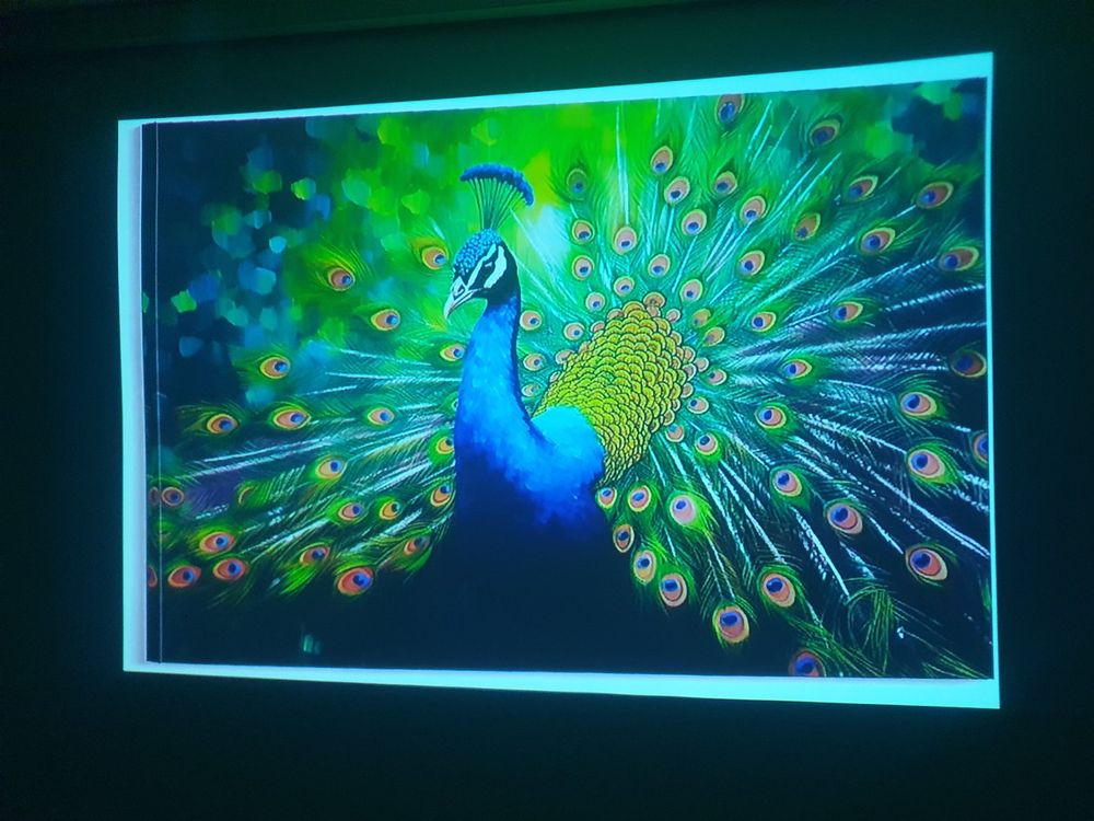 🔥SANYO PLV-Z4 FULLHD🎬PLV-Z4000📺Beamer🎥Projektor HEIMKINO (Gebraucht) in ...