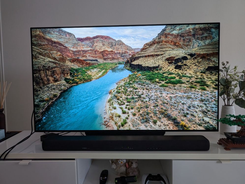 LG OLED B9 TV 55'' (Gebraucht) in Cham für CHF 400 – nur Abholung auf ...