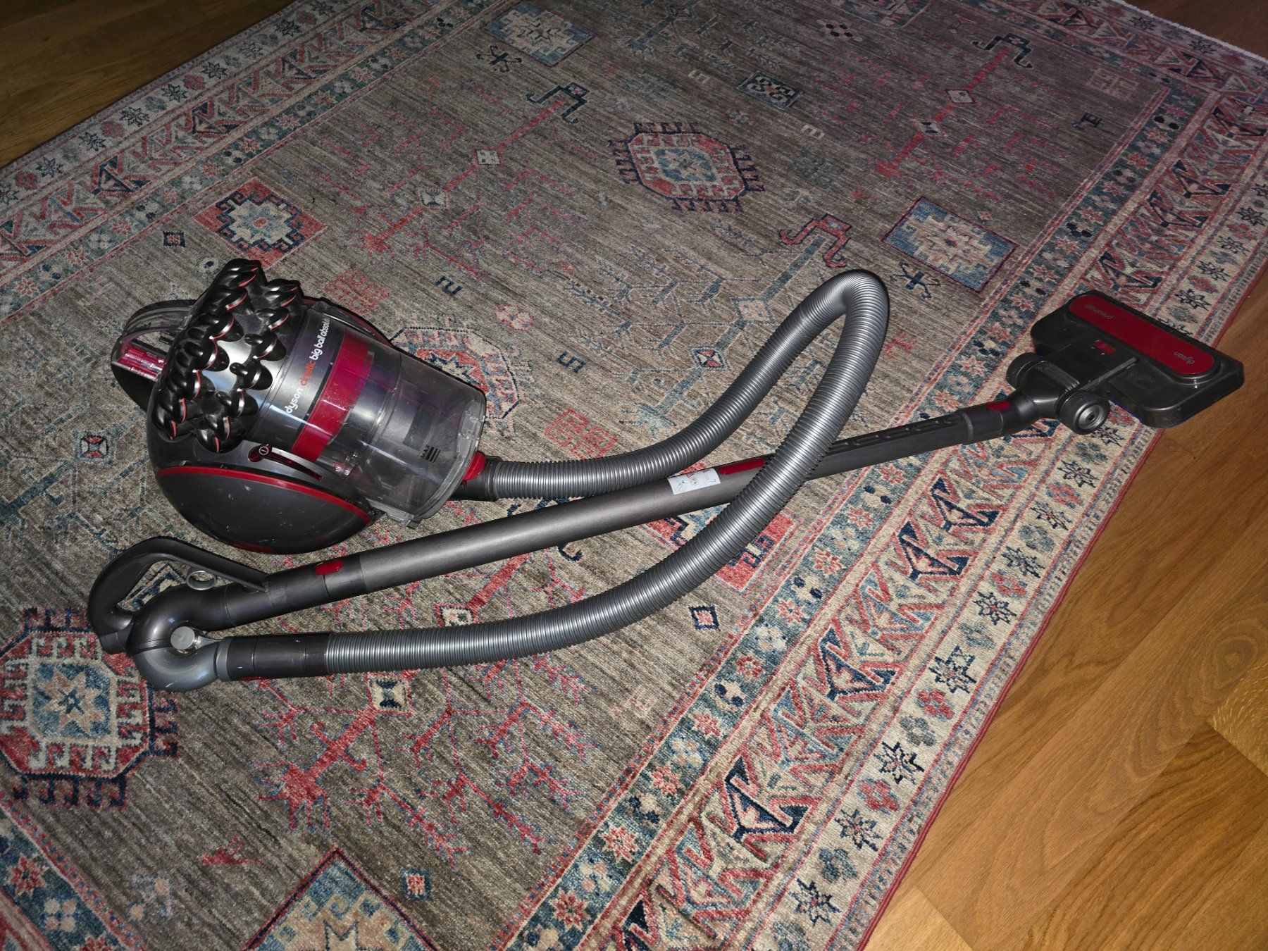 dyson cinetic big ball absolute2 mit 2 zubehör (Gebraucht) in uster für ...