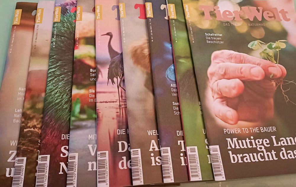 Tier Welt Magazine 21 Ausgaben von 2024 & 2025 (Neuf (Voir description ...
