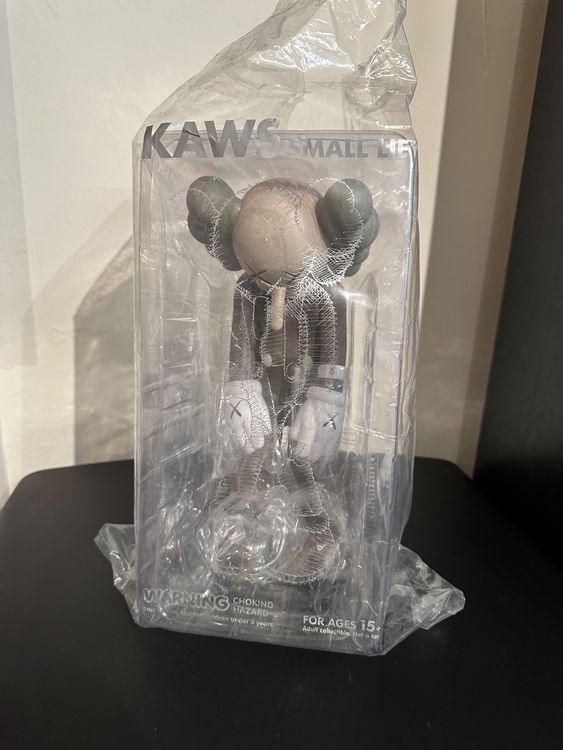KAWS Small Lie Companion grau – Original – Box geöffnet (Neu (gemäss ...