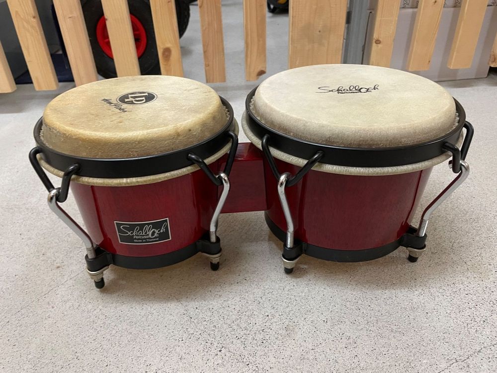 Bongos | Kaufen auf Ricardo