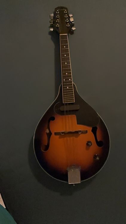 Fender Mandoline mit Tonabnehmer | Kaufen auf Ricardo