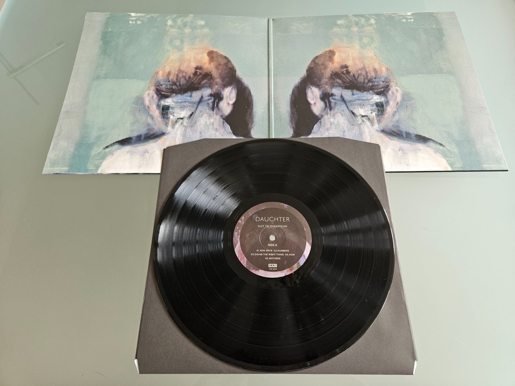 Daughter Not To Disappear LP 180Gr Vinyl NM Indie Rock Folk (Gebraucht ...
