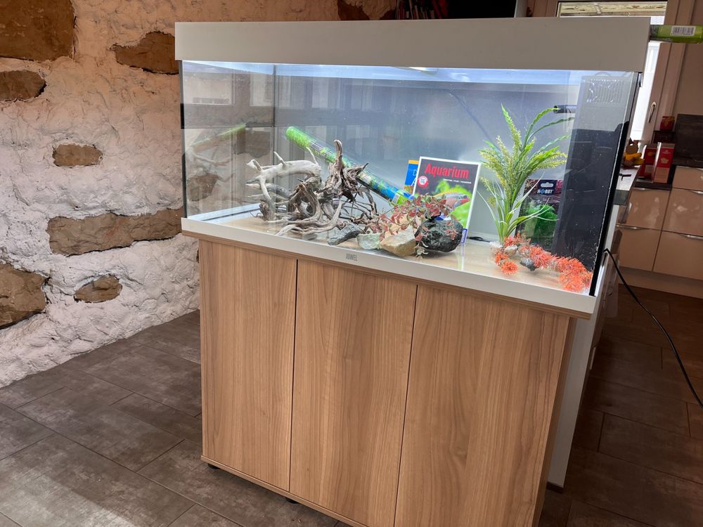 Juwel RIO 180 | Aquarium | Kaufen auf Ricardo