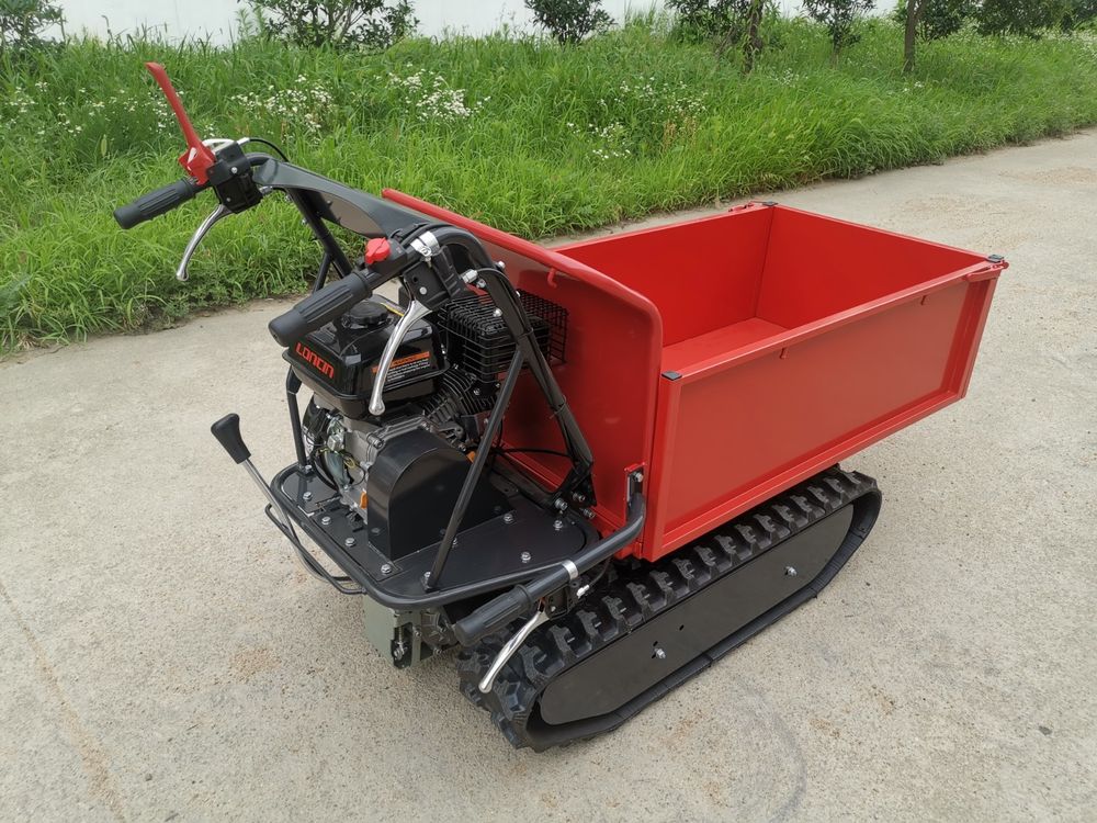 Mini Dumper 500KG (Gebraucht) in für CHF 1899 – nur Abholung auf ...