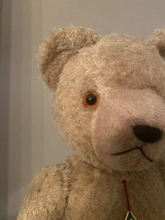 Original Teddy Bear Hermann anni 50 (Gebraucht) in Mendrisio für CHF ...