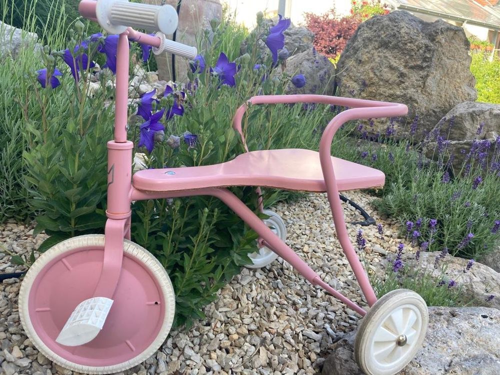 Foxrider Dreirad rosa (Gebraucht) in Burgdorf für CHF 1 – nur Abholung ...