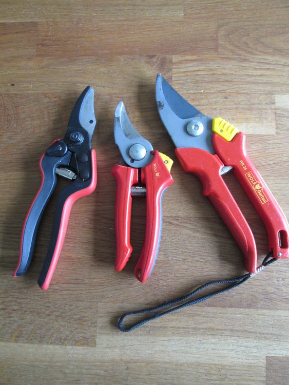 3 Baum/Gartenscheren, 1x FELCO Nr.160S/ 2x WOLF RR-S/RR24 | Kaufen auf ...