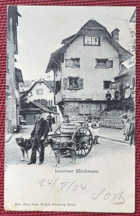 Luzerner Milchmann (Gebraucht) in Horw für CHF 12 – mit Lieferung auf Ricardo kaufen