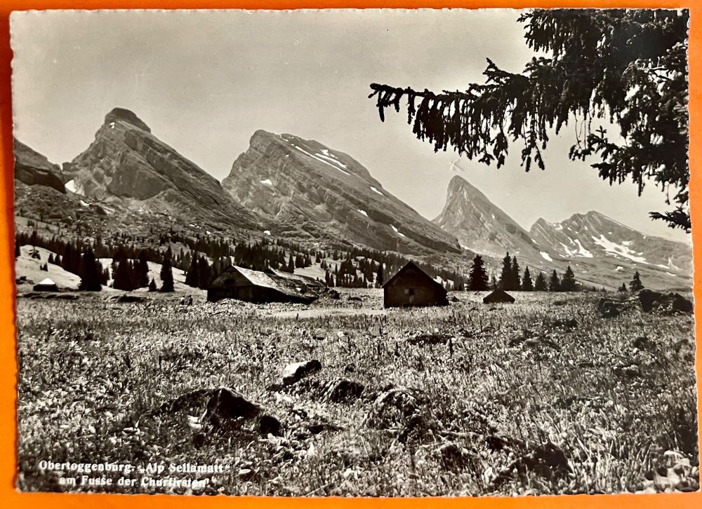 OBERTOGGENBURG "ALP SELLAMATT" am Fusse Churfirsten 1949 | Kaufen auf Ricardo