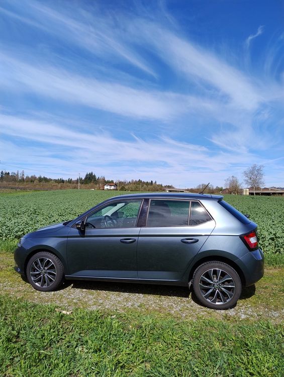 Fabelhafte Ol Fur Skoda Fabia Fotos