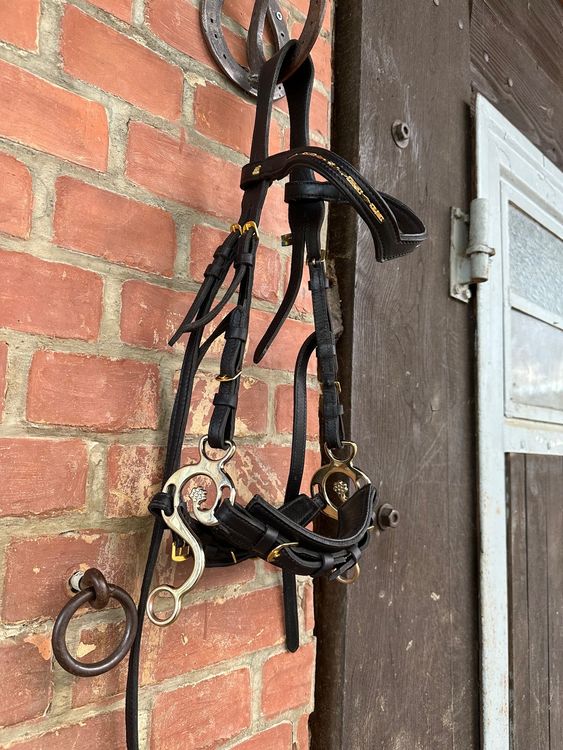 Barock Hackamore Gr. VB-WB | Kaufen auf Ricardo