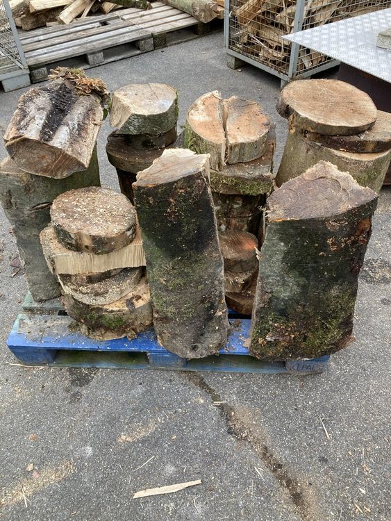 Brennholz Esche / Buche Abschnittrugel | Kaufen auf Ricardo