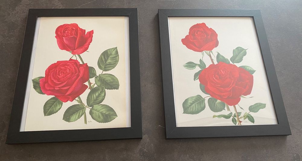 Cadres photos (2PCS) - Set, Roses | Kaufen auf Ricardo