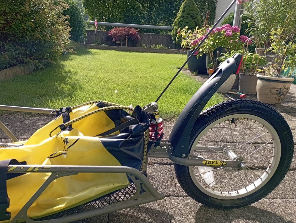 BOB ibex Fahrradanhänger, gefedert (Gebraucht) in Niederurnen für CHF ...