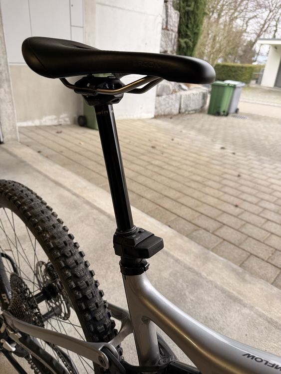 Amflow PL Carbon, Top Zustand, wenig gefahren! (Gebraucht) in Buchs ZH ...