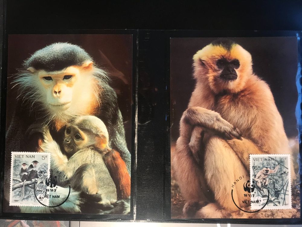 WWF Vietnam 1987 Satz Kleideraffe Schopfgibbon Maximumkarten | Kaufen ...