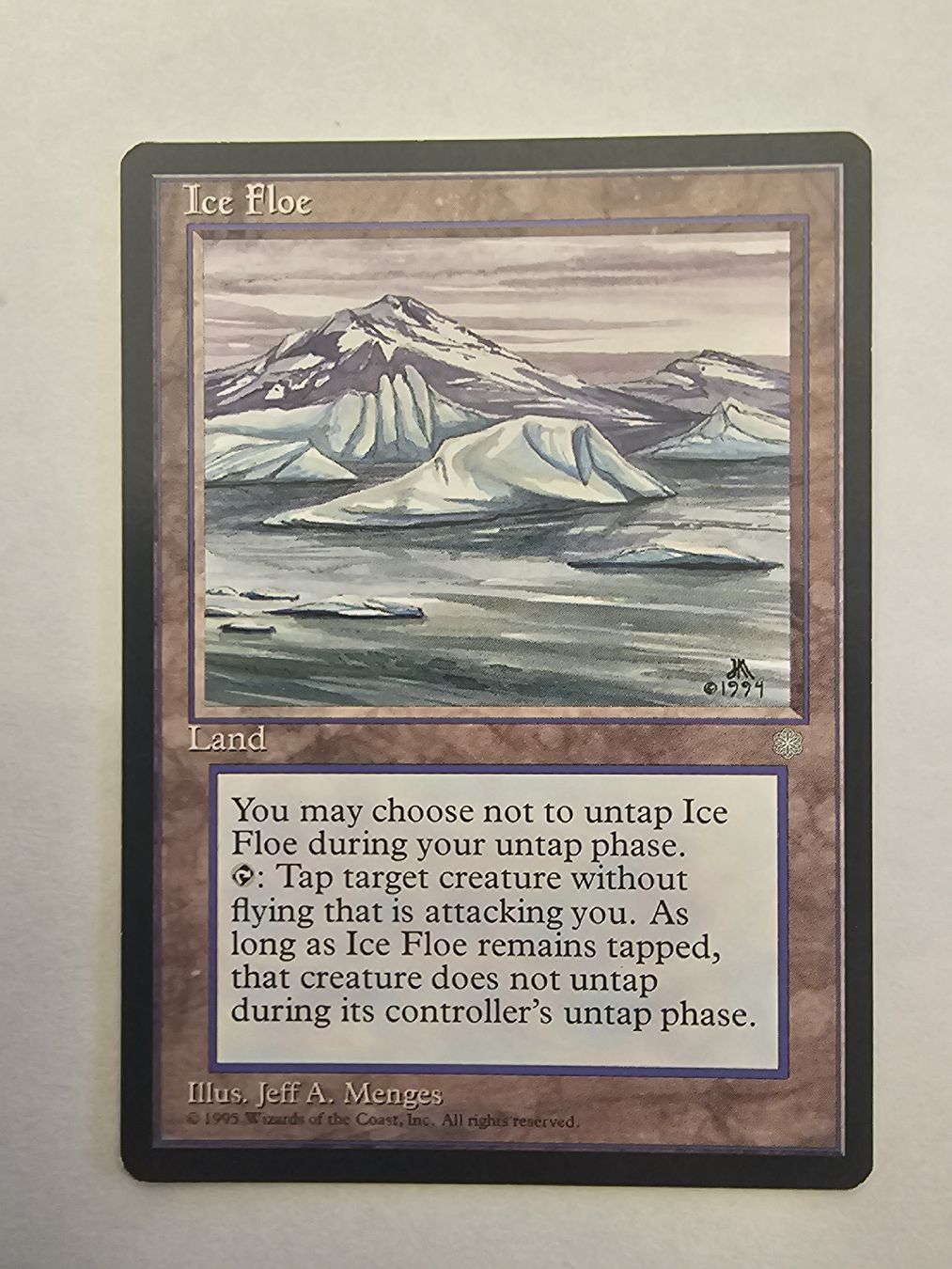 Magic: The Gathering – 2 x Ice Floe – Selten (Gebraucht) in Wisen SO ...