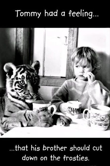 Tiger Tommy had a feeling kelloggs Frosties Poster | Kaufen auf Ricardo