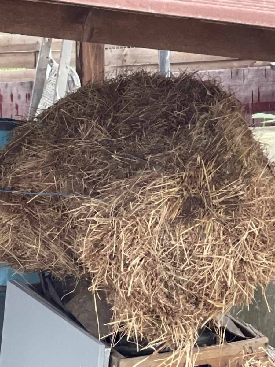 Bote de paille pour animaux (Neuf avec emballage d'origine) à MARLY ...