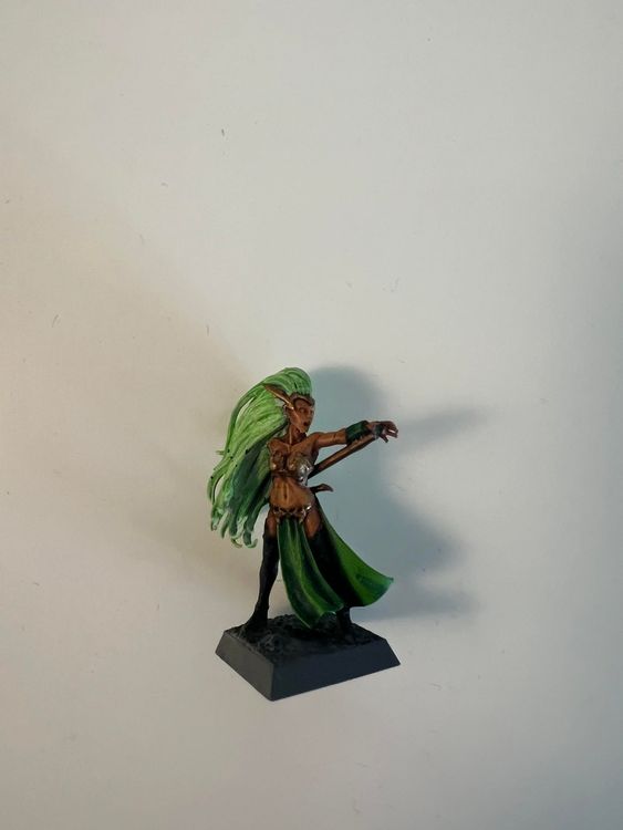 Dark Elves, Witch Elves hero warhammer age of sigmar | Kaufen auf Ricardo