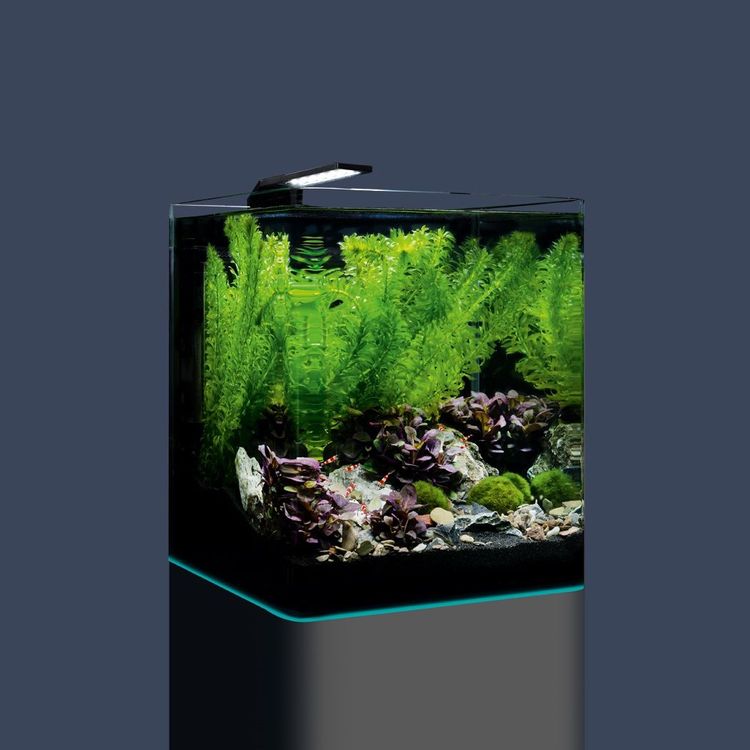 Fabelhafte Aquarium Gebraucht Kaufen Bild