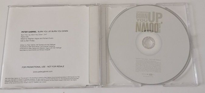 Peter Gabriel – Burn You Up, Burn You Down (CD-Single) (Gebraucht) in ...