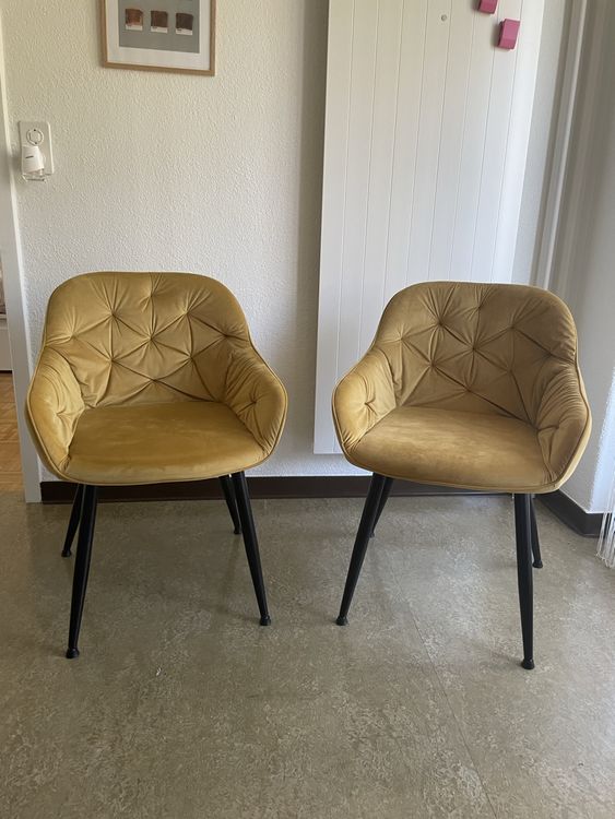 Micasa velvet chairs (Gebraucht) in Thalwil für CHF 40 – nur Abholung auf Ricardo kaufen