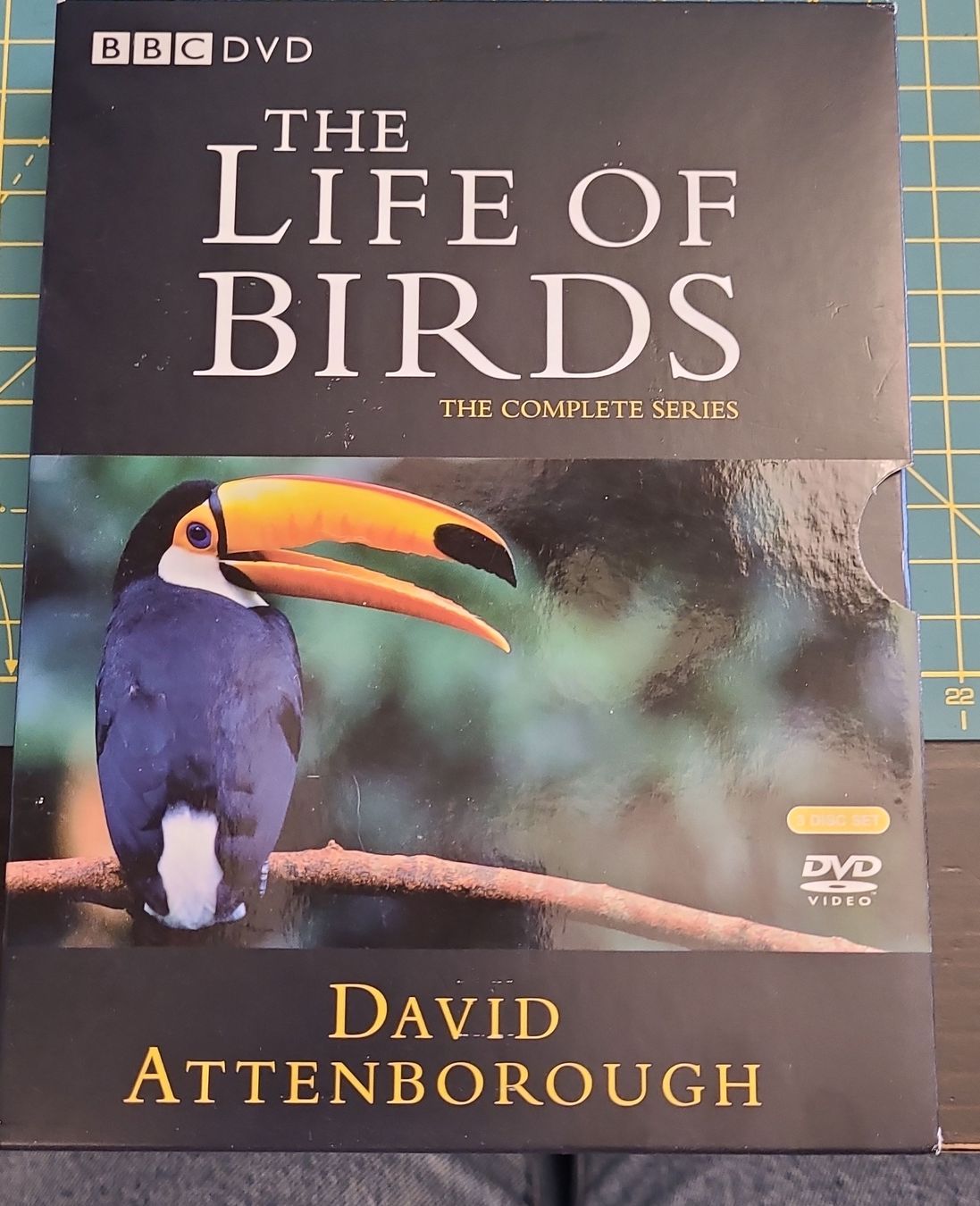 DVD BBC - The Life of Birds, série complète en anglais (D'occasion) à ...