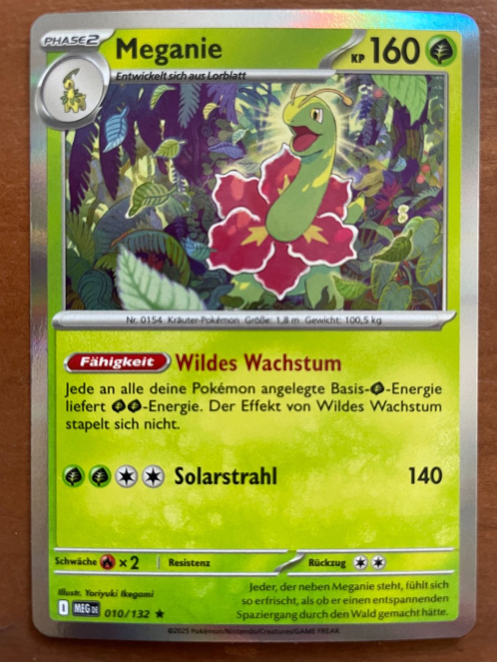 Pokemon Meganie Holo (Versand gratis) (Neu (gemäss Beschreibung)) in ...