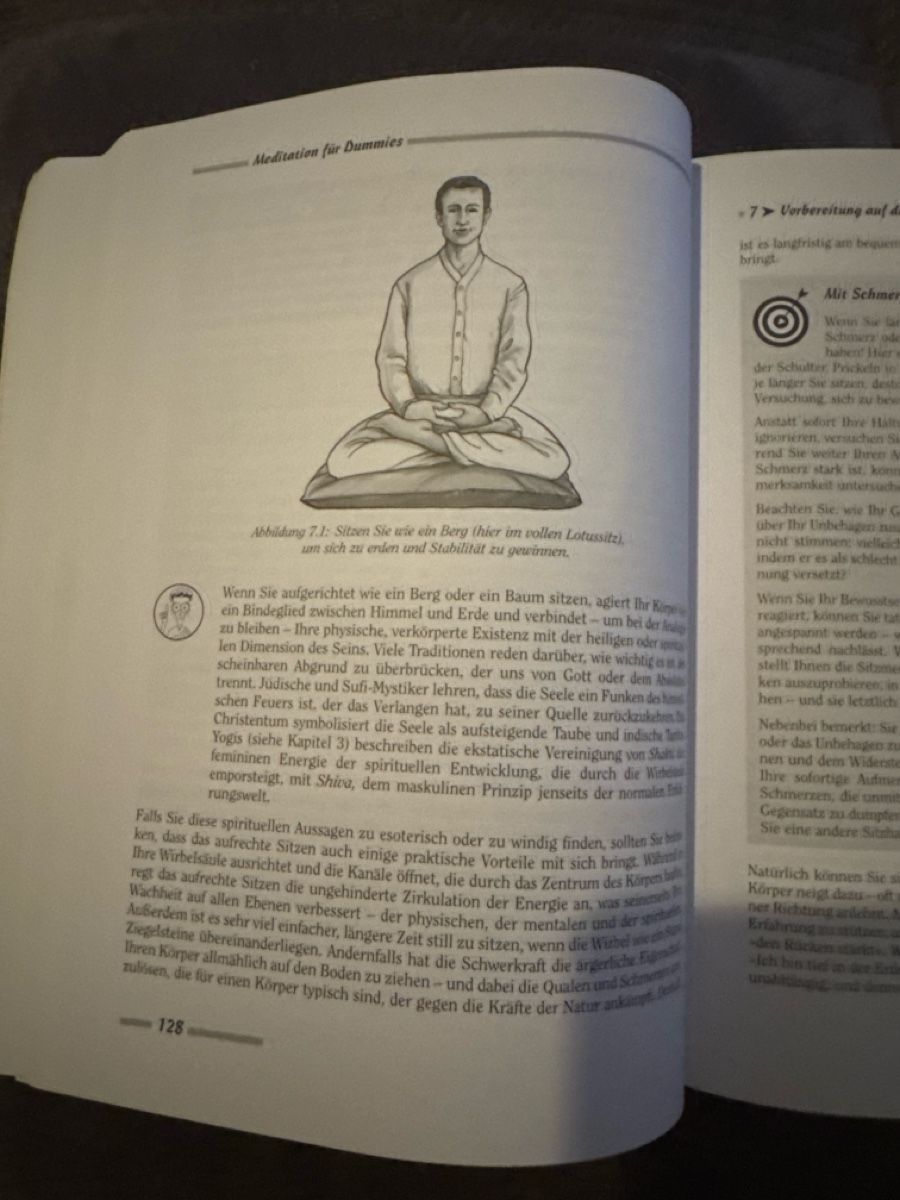 Meditation für Dummies, 3. Auflage, gut erhalten! (Gebraucht) in ...