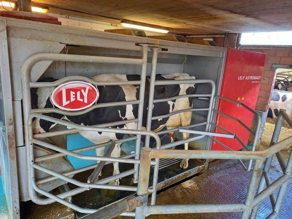 Melkroboter Lely A3 Next mit Puffertank (Gebraucht) in Jonen für CHF ...