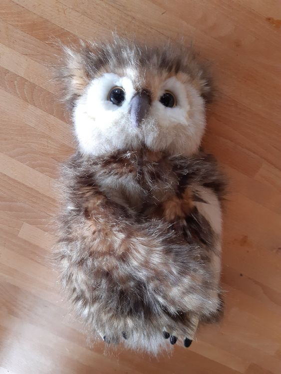 neuwertiges Plüschtier Uhu (Gebraucht) in Münchenbuchsee für CHF 2 ...