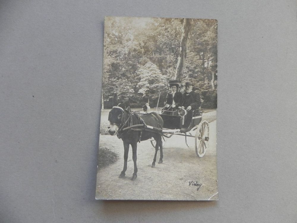 Echtphoto Karte Kutsche Maulpferd 1920 (Gebraucht) in Siebnen für CHF ...
