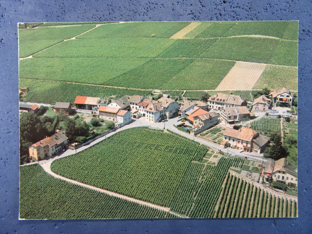 AK VD MONTRESOR MONT SUR ROLLE CAVE MONNARD VUE AERIENNE | Kaufen auf ...