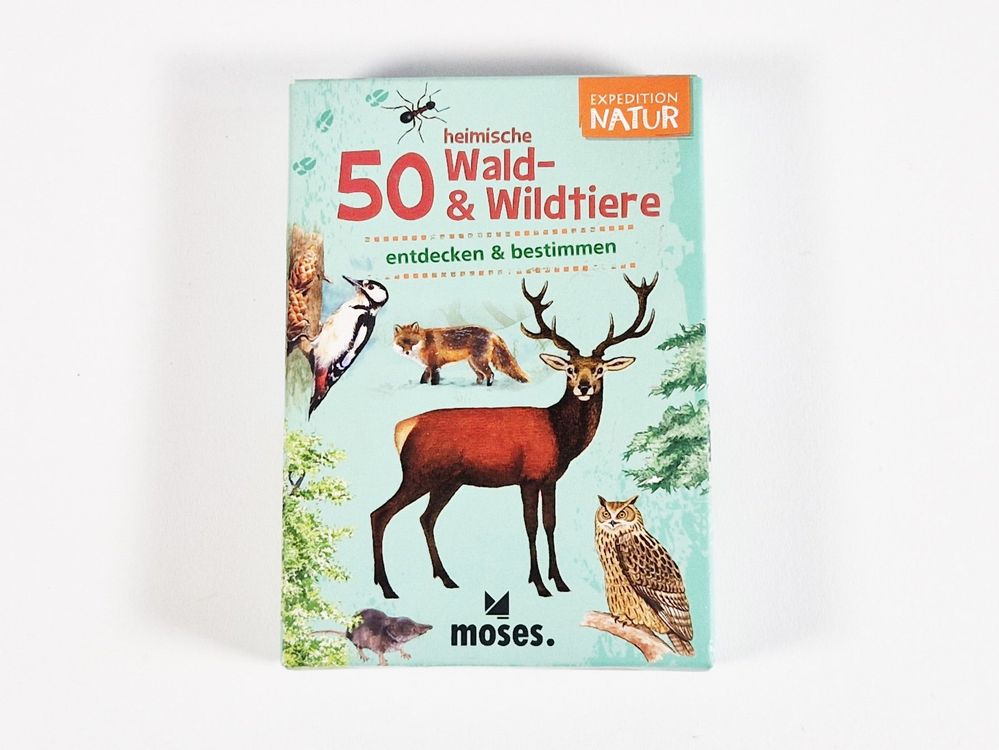 Lernspiel "50 heimische Wald- & Wildtiere" (Gebraucht) in Zollikofen ...