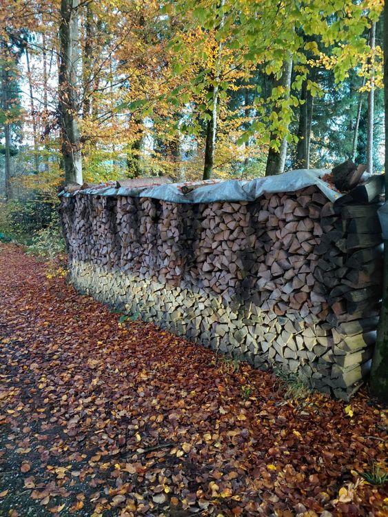 Brennholz Esche/Buche (Gebraucht) in Inwil für CHF 110 – nur Abholung ...