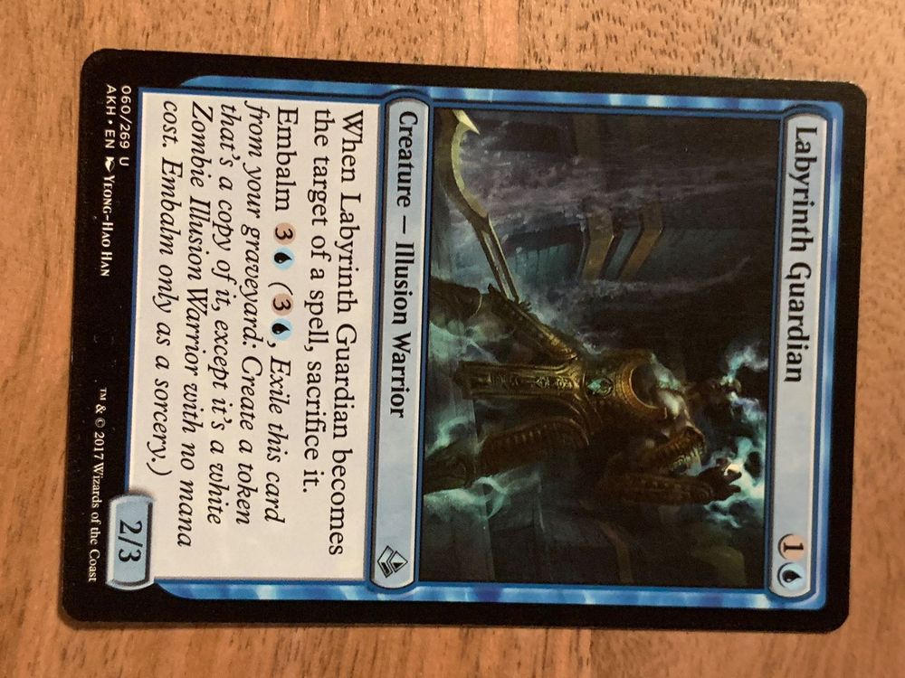 Labyrinth Guardian | Kaufen auf Ricardo