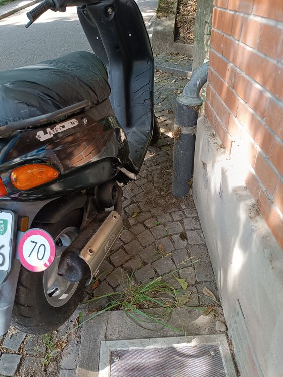 Piaggio Roller Typhoon X50 (Gebraucht) in St Gallen für CHF 200 – nur ...