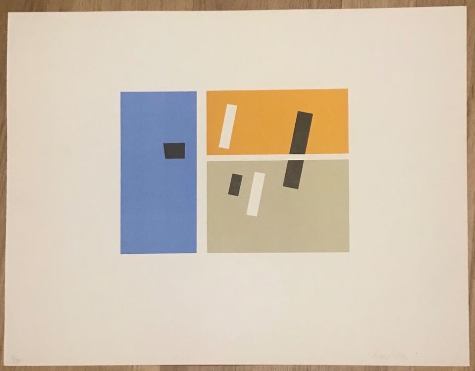 Konkrete Moderne Lithographie Unleserlich Signiert | Kaufen auf Ricardo