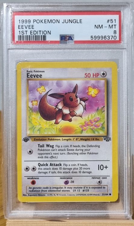 PSA 8, Pokemon 1999 Jungle Eevee (Evoli) 1st Edition (Gebraucht) in ...