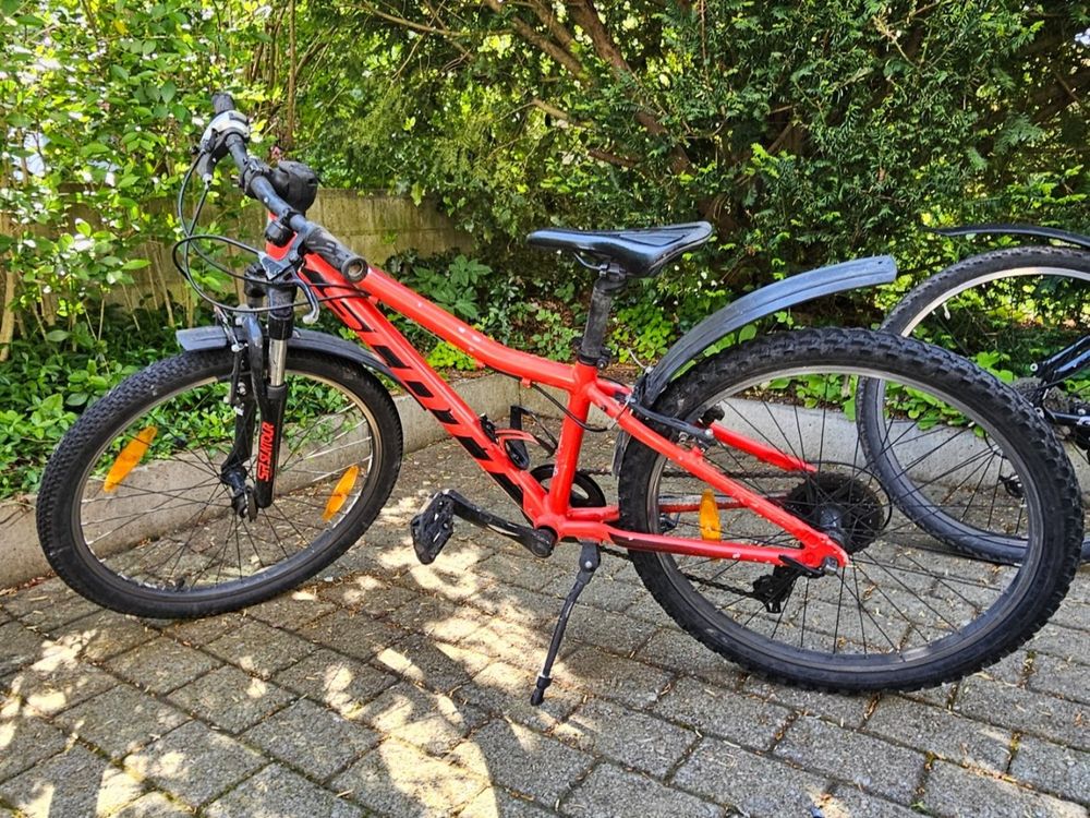 Das Ultimative Kinder Mountainbike 24 Zoll Abenteuer Wartet