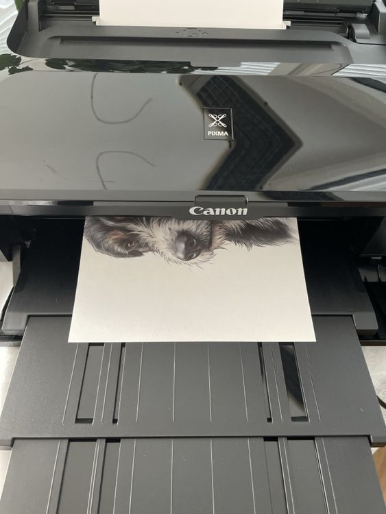 Canon PIXMA iX 6850 Drucker (Gebraucht) in Aarberg für CHF 29 – nur ...