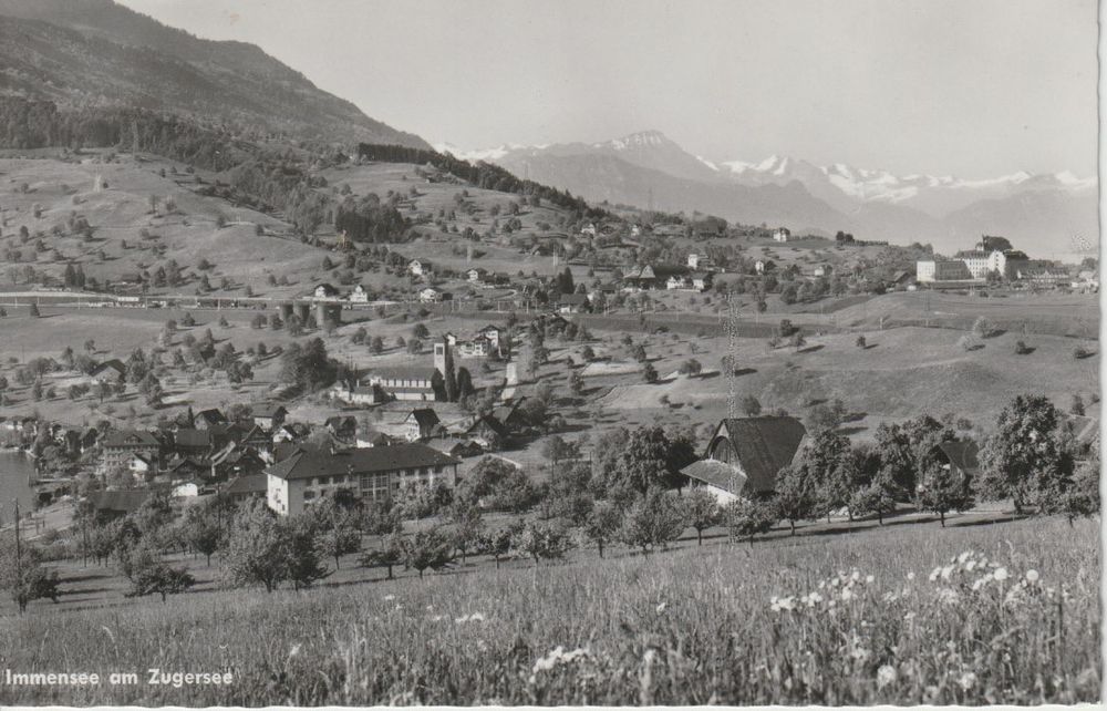 SZ 228 Immensee am Zugersee, ca. 1950/60 (Gebraucht) in Freienbach für ...