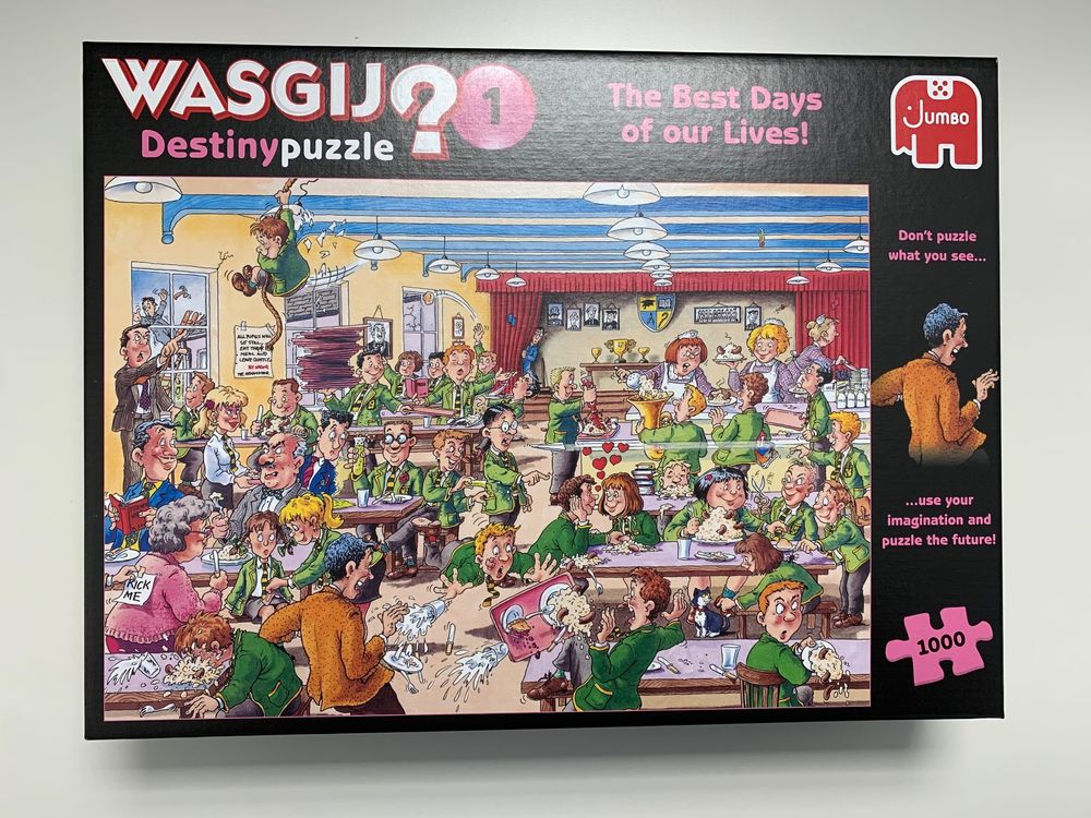 Wasgij Destiny 1 Puzzle, Best Days of our Lives, 1000 Teile (Gebraucht ...