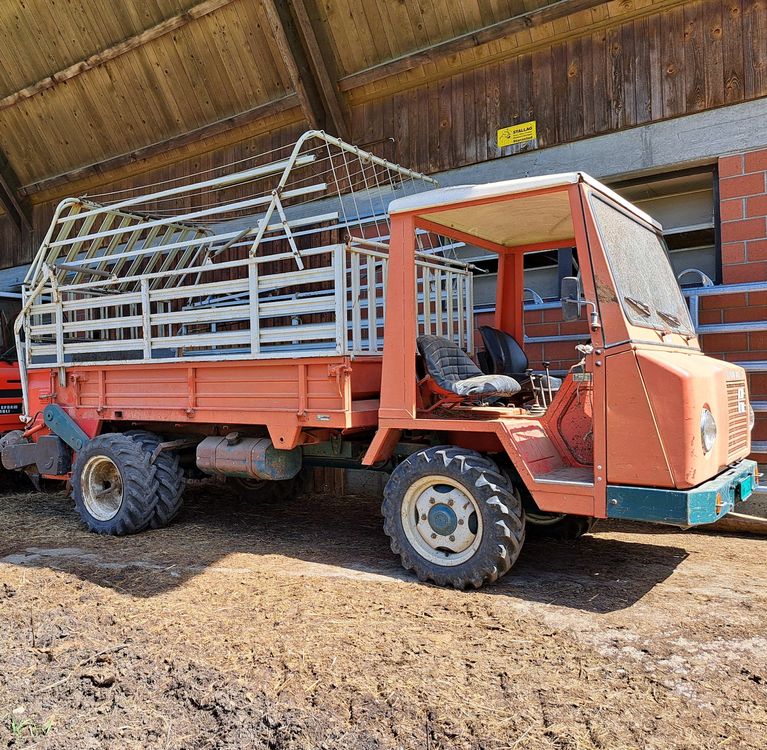 Reform Muli 33 | Kaufen auf Ricardo