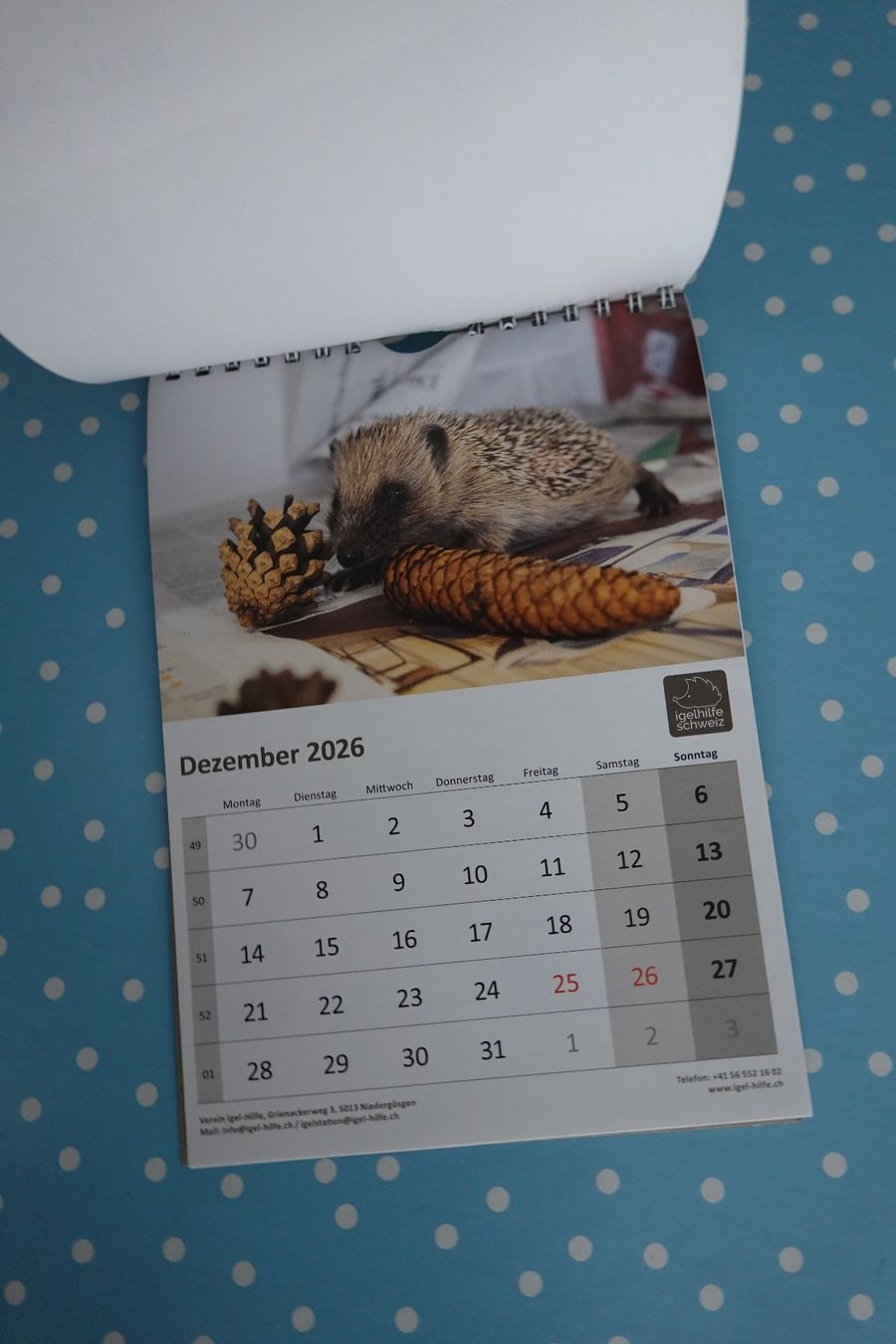 Igel-Kalender 2026 - Tier des Jahres 2026 - Kalender Igel (Neu (gemäss ...