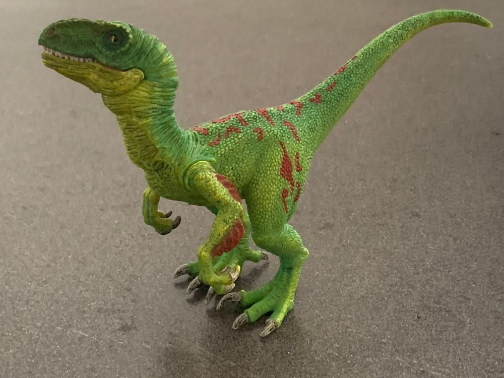 Schleich Velociraptor Dinosaurier aus Kunststoff | Kaufen auf Ricardo